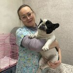 Khvostiki (Jandosov kóshesі No:54, Nauryzbai City Administrative District, Almaty), veteriner klinikleri  Almatı'dan