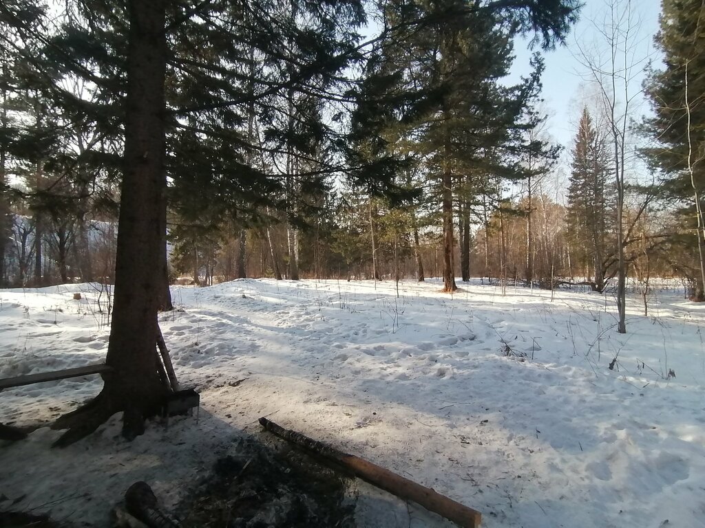 Piknik alanı Место для пикника, Krasnoyarski krayı, foto
