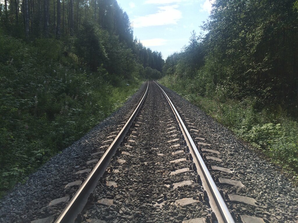 Yük istasyonu остановочный пункт 456 километр, Karelya, foto