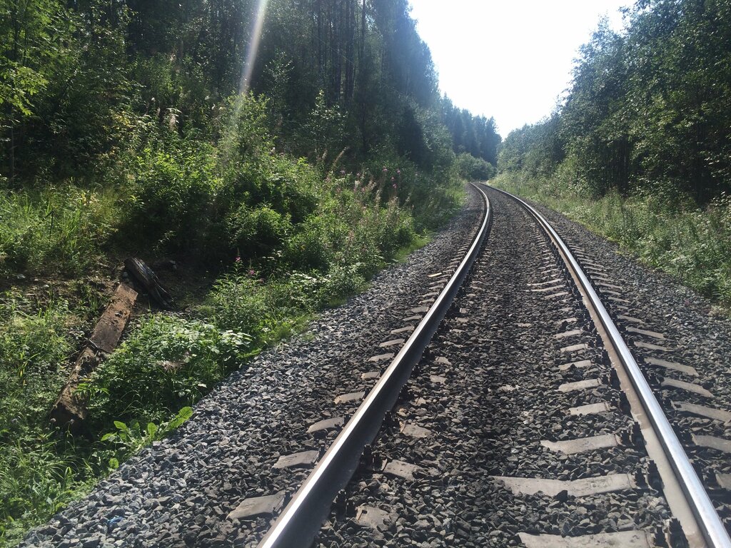 Yük istasyonu остановочный пункт 456 километр, Karelya, foto