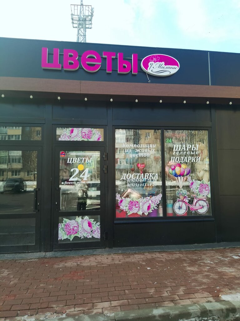 Çiçekçiler Цветы у Миланы, Solneçnogorsk, foto