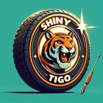 Shiny-tigo (ulitsa Lenina No:вл42, posyolok gorodskogo tipa Oktyabrskiy), jant ve lastikçiler  Moskova ve Moskovskaya oblastından