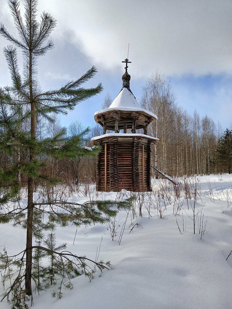 Ortodoks kiliseleri Tserkov Flora i Lavra V Tsivozere, Arhangelskaya oblastı, foto