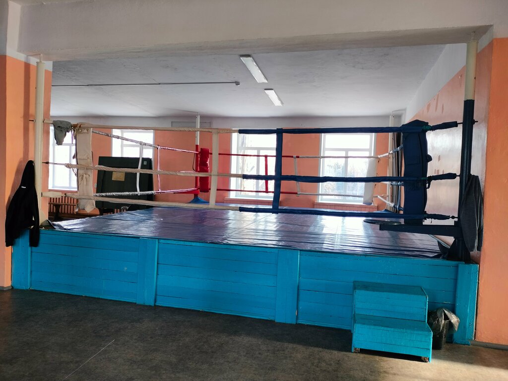 Çok amaçlı spor tesisleri Чемпион, İrkutskaya oblastı, foto
