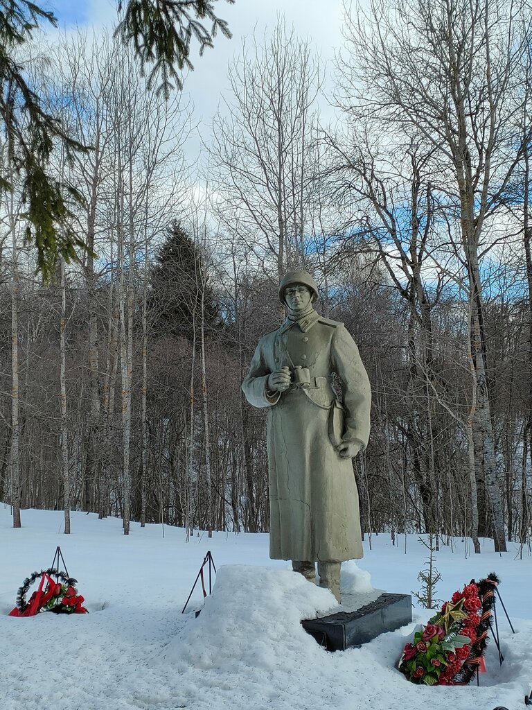 Anıt, heykel Памятник воинам погибшим в годы ВОВ, Moskova ve Moskovskaya oblastı, foto