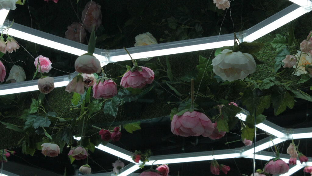 Kahve dükkanları Tupan&Marcipan, Novosibirsk, foto