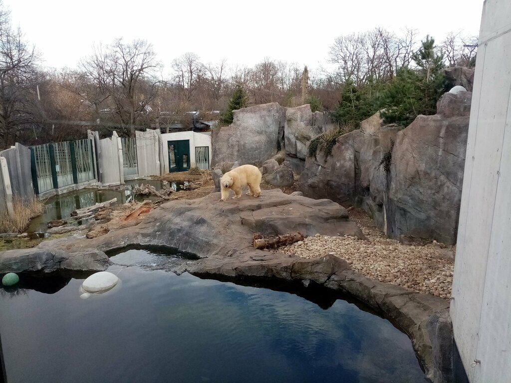 Hayvanat bahçeleri Tiergarten Schönbrunn, Viyana, foto