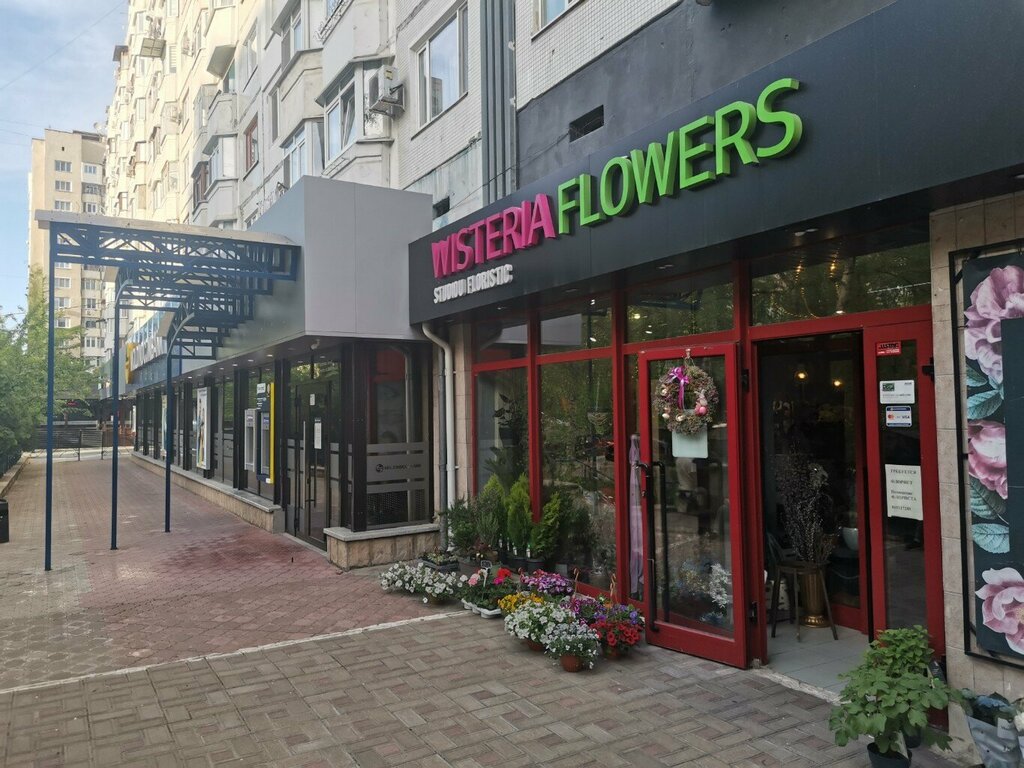 Çiçekçiler WisteriaFlowers, Kişinev, foto