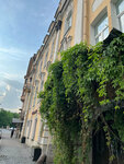 Дом Олсуфьевых (Fontanka River Embankment No:14), turistik yerler  Saint‑Petersburg'dan