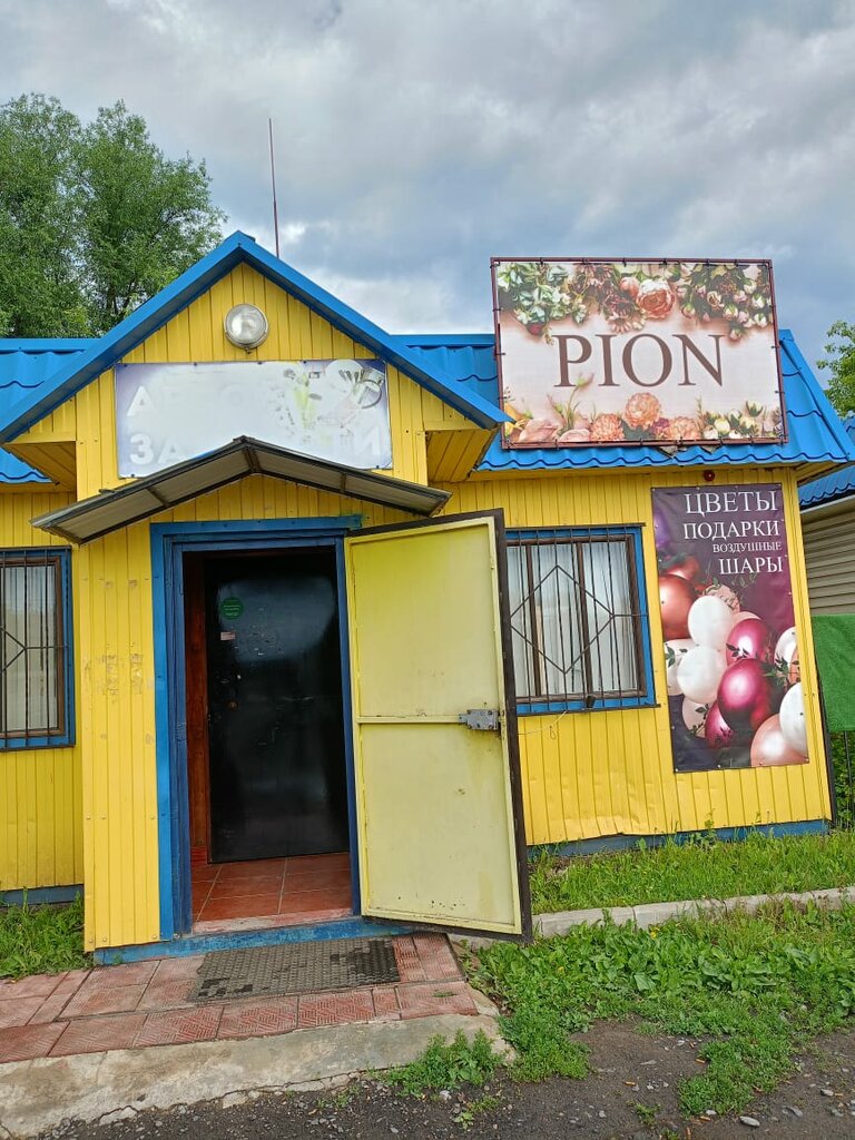 Çiçekçiler Pion, Kurskaya oblastı, foto