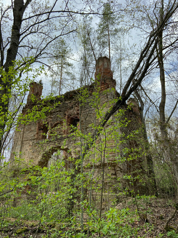 Turistik yerler Парк-усадьба Милюковых, Novgorodskaya oblastı, foto