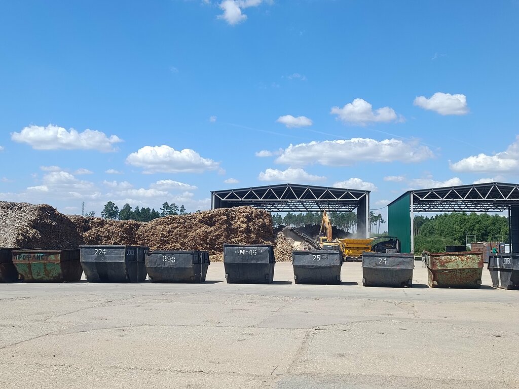 Atık depolama alanı ТБО Торбеево, Moskova ve Moskovskaya oblastı, foto