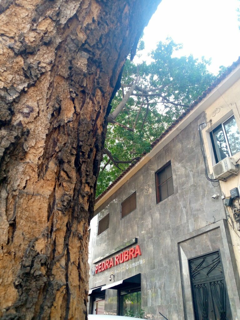 Kuyumcular Pedra Rubra, Loanda, foto