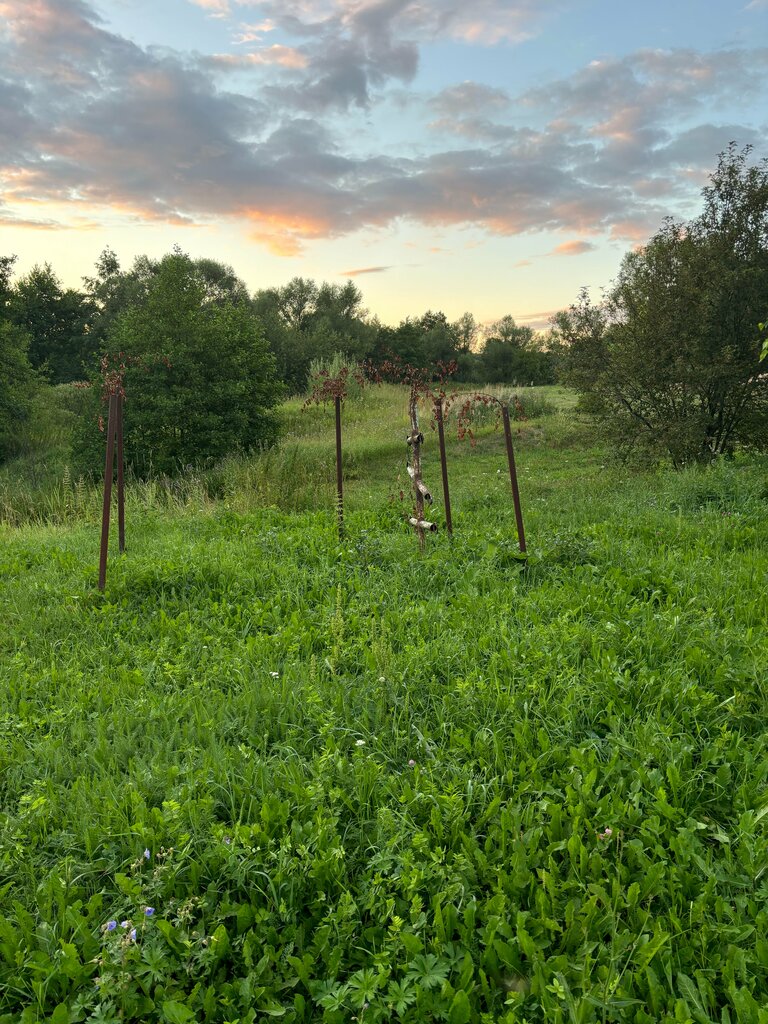 Anıt, heykel Могила партизанки Анфисы, Kalujskaya oblastı, foto