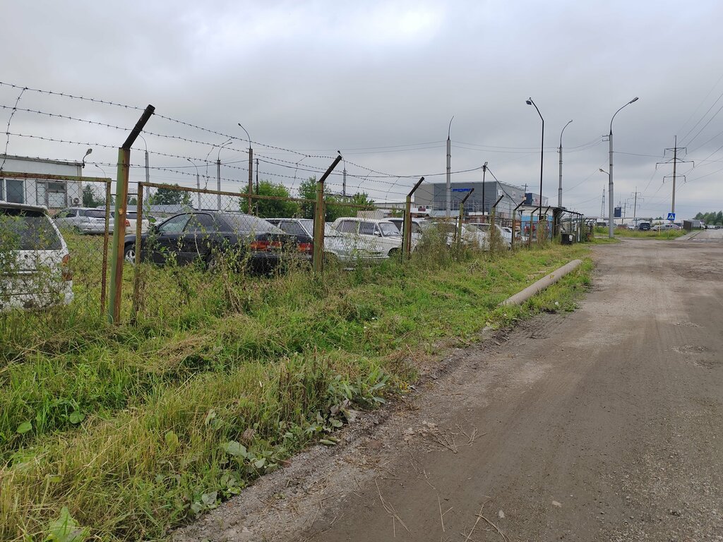 Yediemin otoparkları Shtrafstoyanka 3, Novosibirsk, foto