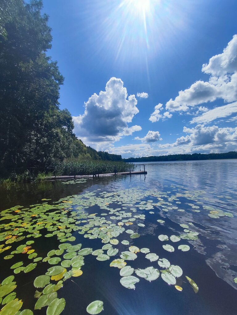 Festival База Отдыха Девино, Vitebskaya oblastı, foto