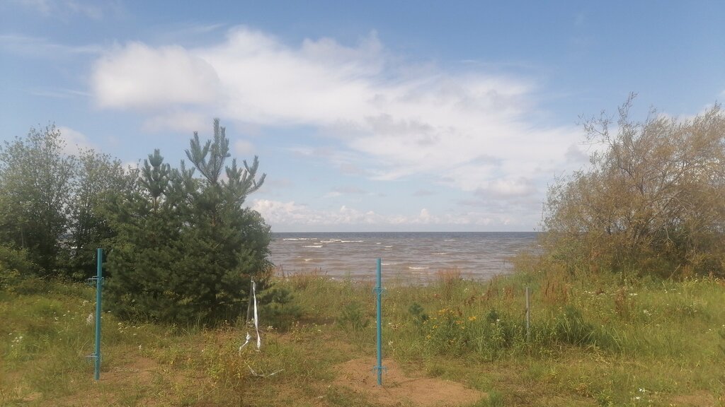 i̇skele Jetty , Pskovskaya oblastı, foto