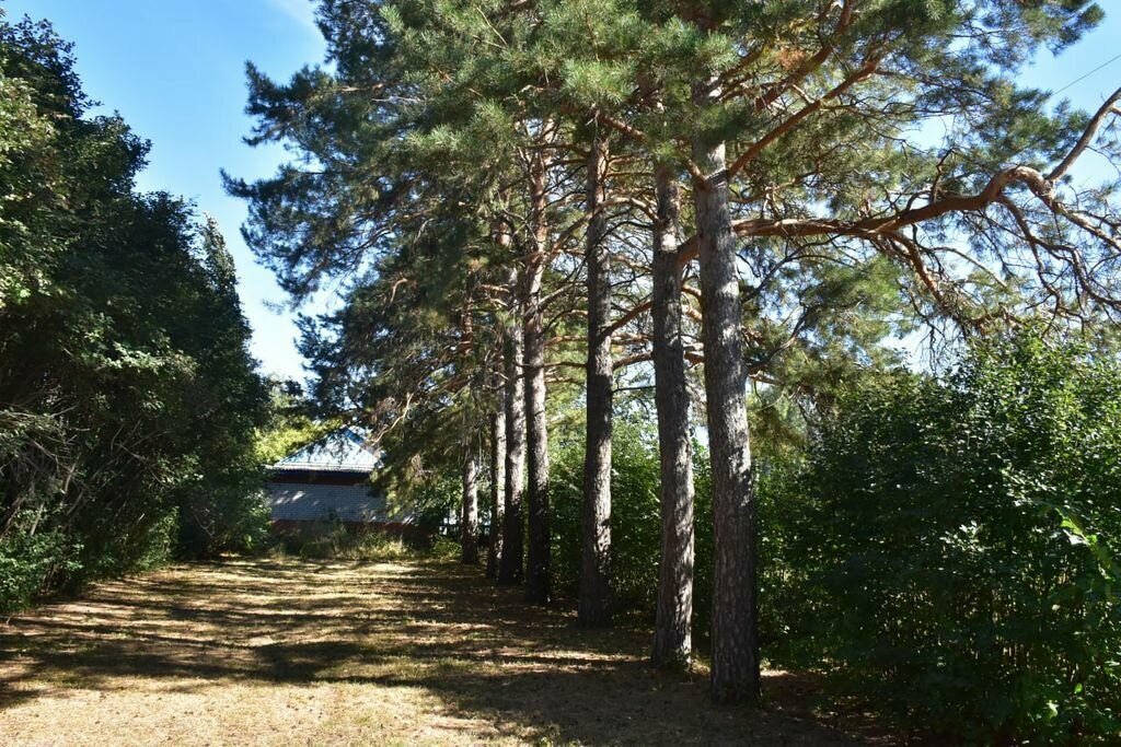 Doğa Подольский дендросад, Orenburgskaya oblastı, foto