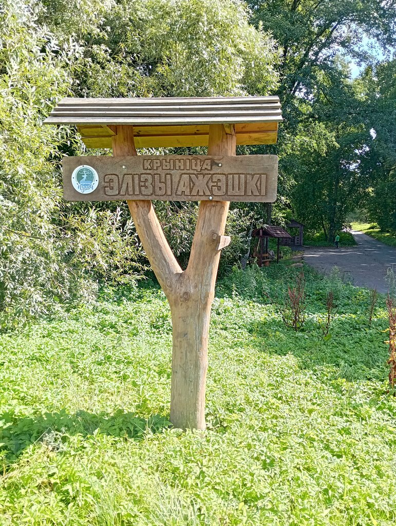 Pınar, çay Родник Элизы Ожешко, Grodnenskaya oblastı, foto