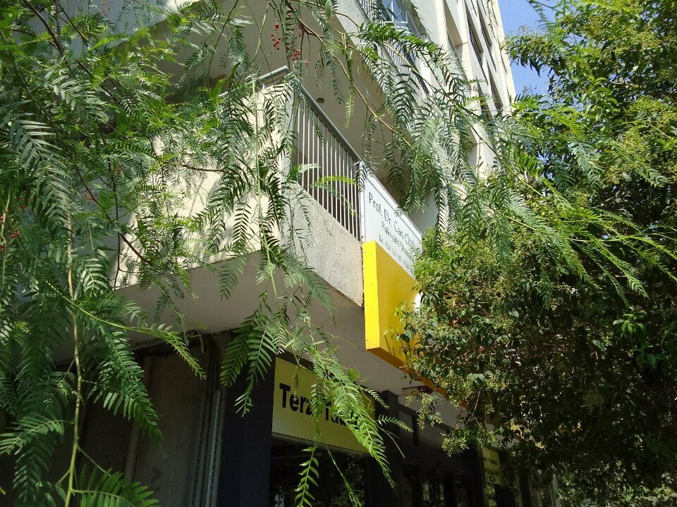 Psikiyatrist Prof. Dr. Can Cimilli, İzmir, foto