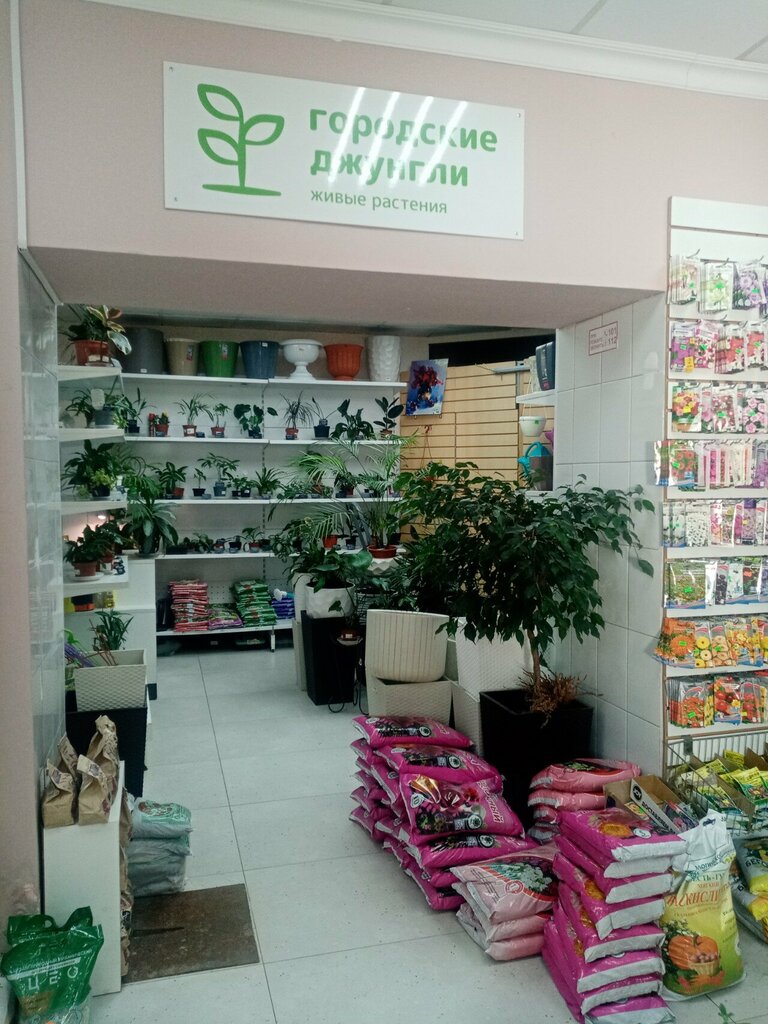 Çiçekçiler Городские джунгли, Ufa, foto