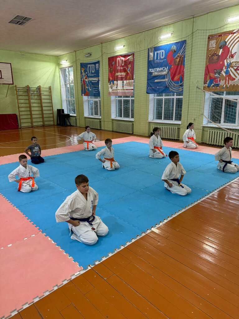 Spor kurumları Нижегородская федерация синкекусинкай каратэ, Nijni Novgorod, foto