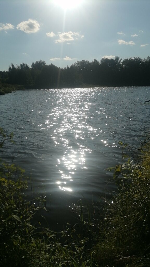 Plaj Пляж, Vladimirskaya oblastı, foto