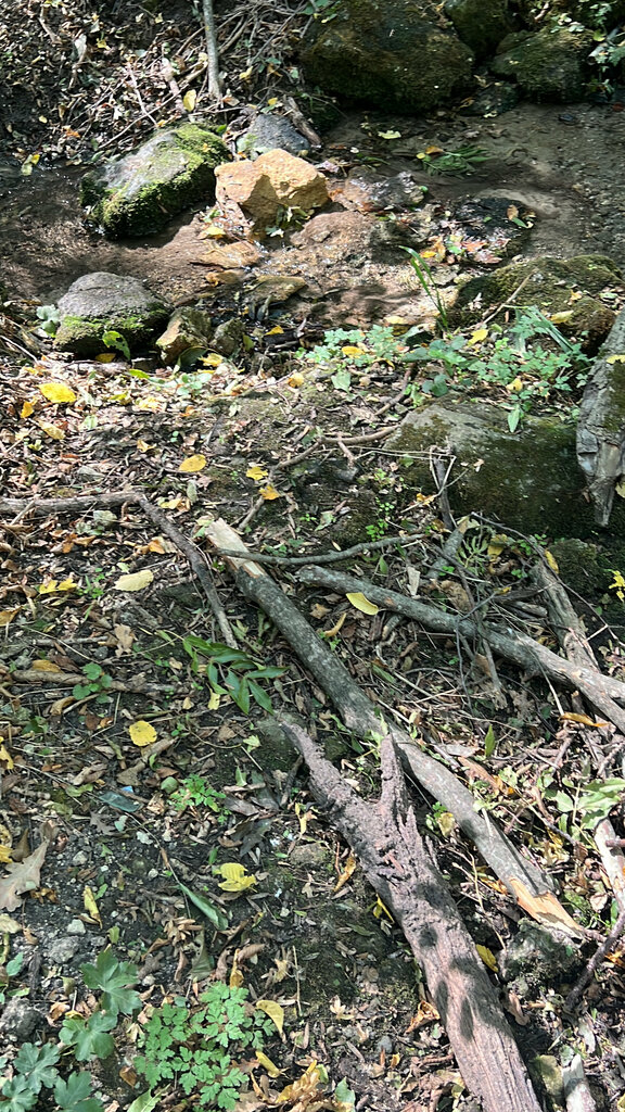 Pınar, çay Spring, stream, Stavropolski krayı, foto