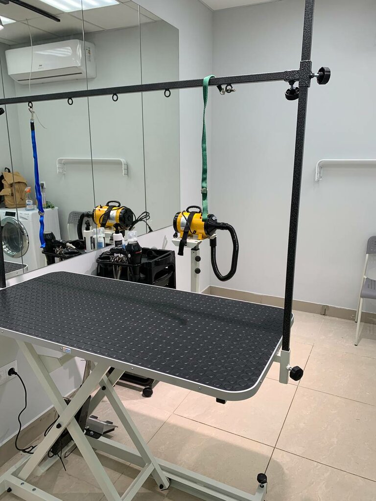 Evcil hayvan kuaförleri Четыре Лапы Груминг, Zelenograd, foto