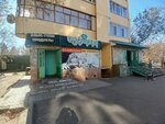 Qiwi (Nursultan Nazarbaev dańǵyly No:170), atm'ler  Pavlodar'dan