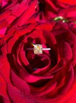 Sinitsyn jewelry (Kholodilny Lane No:3к1с2), kuyumcu atölyeleri  Moskova'dan