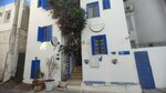 Uyku (Kumbahçe Mah., Akasya Sok., No:50, Bodrum, Muğla), otel  Bodrum'dan