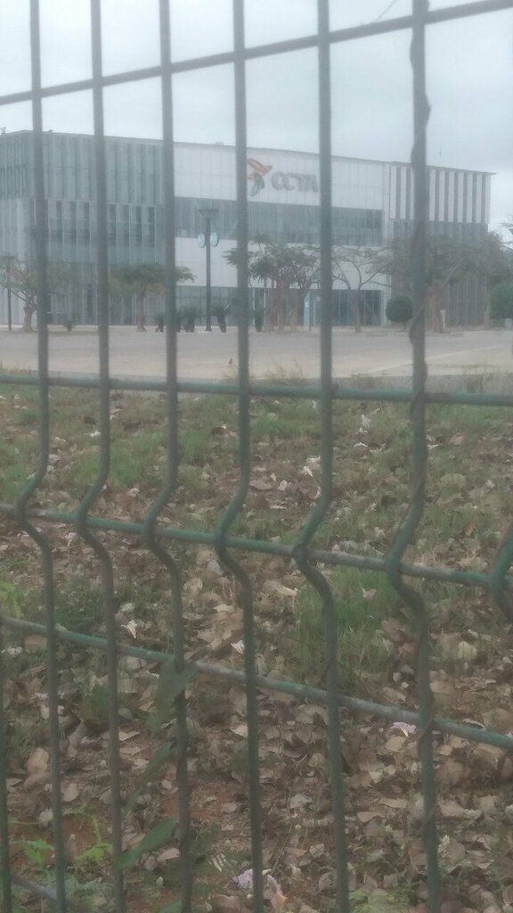 Etkinlik organizasyonu Ccta, Loanda, foto