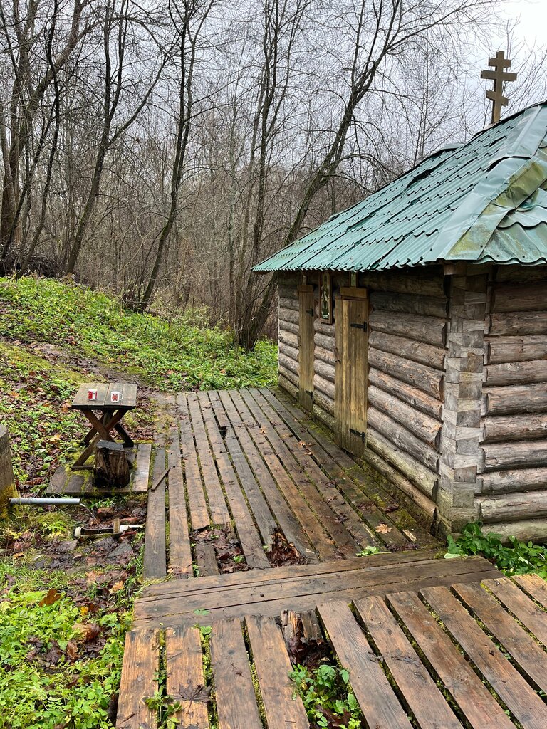 Pınar, çay Spring, stream, Pskovskaya oblastı, foto