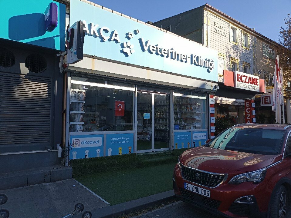 Veteriner klinikleri Akça Veteriner Kliniği, İstanbul, foto