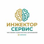 Inzhektor-servis company (Marshala Golikova Avenue No:14А), otomatik teşhis  Kurgan'dan