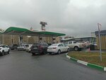 Tatneft cafe (Pobedy Avenue No:141Б), kafe  Kazan'dan