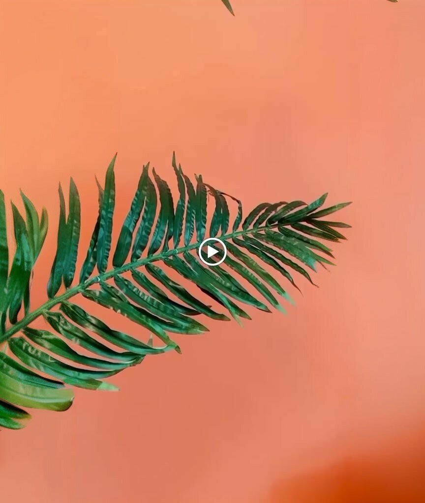 Giyim mağazası Z Giyim, Kâhta, foto