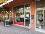 Pro Arte Galerija (Ulica Stevana Musića No:14), sergi salonları, galeriler  Novi Sad'dan