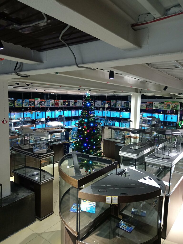 Petshop Аквариумные рыбки, Sakhalinsk, foto