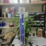Ebruli Çiçekçilik (Manisa, Kırkağaç, Şair Eşref Mah., Halit Kayadipli Cad., 2), çiçekçiler  Kırkağaç'tan