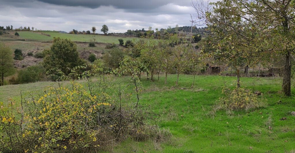 Muhtarlıklar Suutçu Köy Muhtarlığı, Yenice, foto