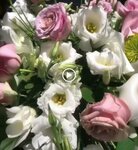 Avrupa Emlak (Mersin, Yenişehir, Güvenevler Mah., 1936. Sok., 3B), emlak ofisi  Mersin'den