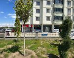 VIP rent a car (Iğdır, Iğdır Merkez , Vali Konağı Yolu Cad., 18B), oto kiralama  Iğdır'dan