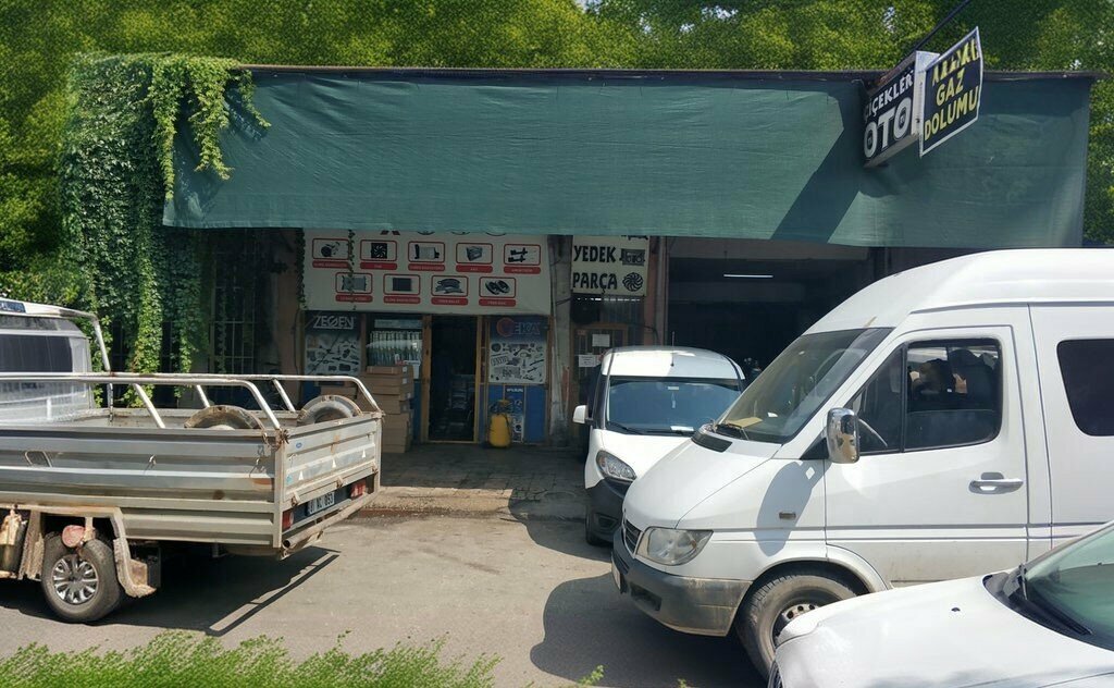 Otomobil servisi Çiçekler Oto, Düzce, foto