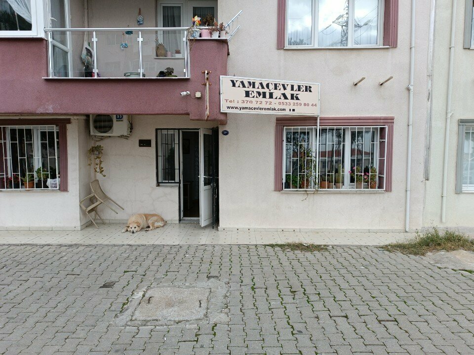 Emlak ofisi Yamaçevler Emlak, İzmir, foto