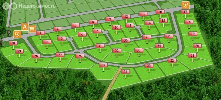 Yazlık yerleşim Ольшаники, Saint‑Petersburg ve Leningradskaya oblastı, foto