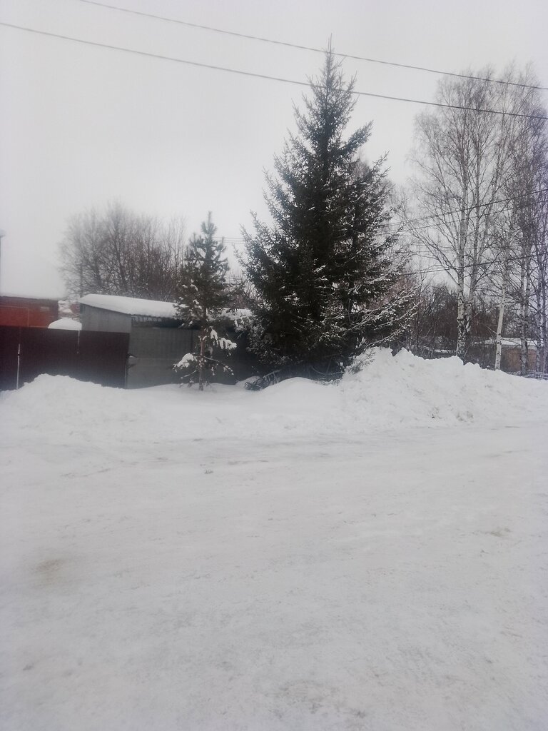 Hayvancılık Ферма СПК имени Кирова, Başkurdistan, foto