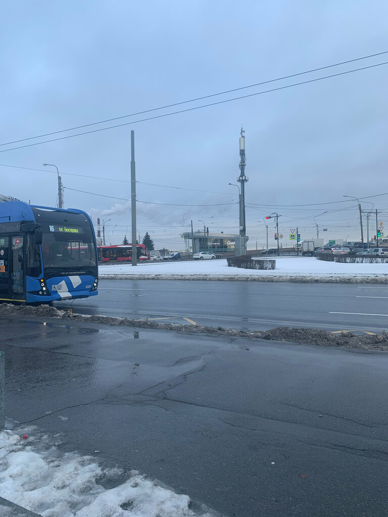 Toplu taşıma durağı Obukhovskoy Oborony Avenue / Aleksandro-Nevskaya Monastery, Saint‑Petersburg, foto