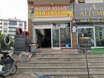 Küçük aslan oto lastik (Yeşilvadi Bul., No:135A, Şahinbey, Gaziantep), oto lastik tamiri  Gaziantep'ten